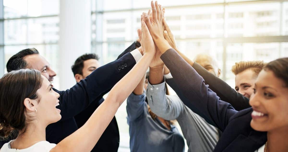 What Is A Management Control System?